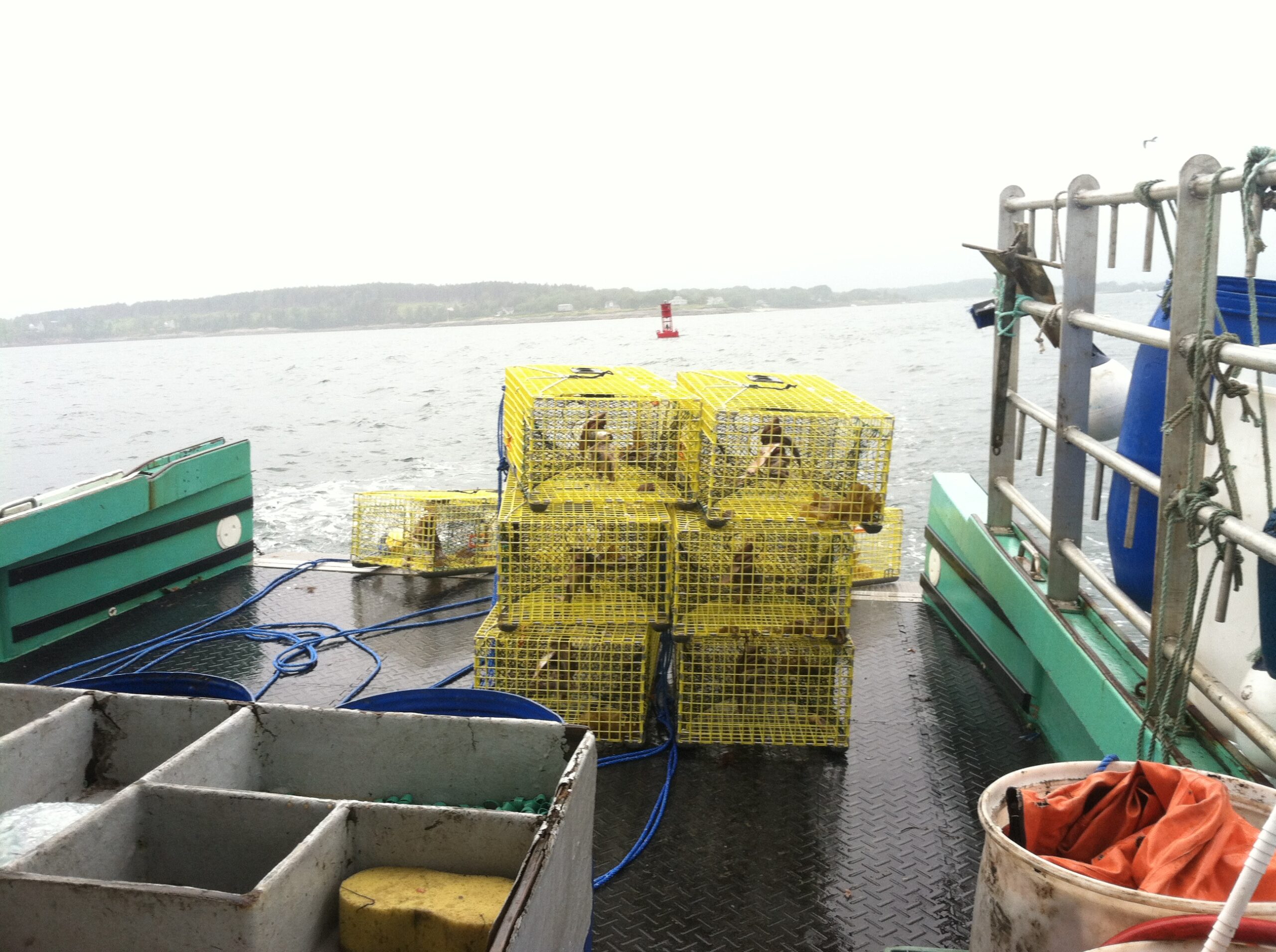 Learning the Ropes: My First Day as a Sternman - Maine Lobster