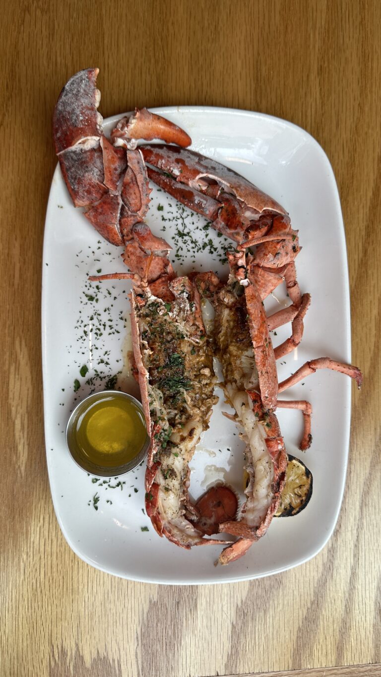 MAINE LOBSTER TOUR - Maine Lobster