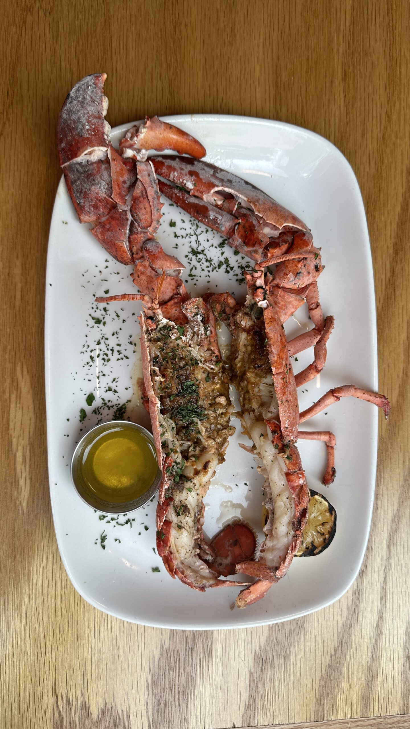 MAINE LOBSTER TOUR - Maine Lobster